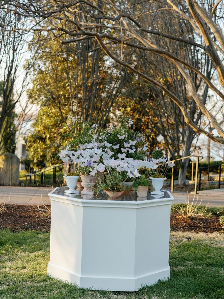Octagon Display Table - Perch Decor